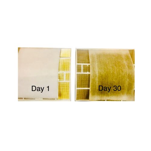 NANO AC FILTER - Econaur